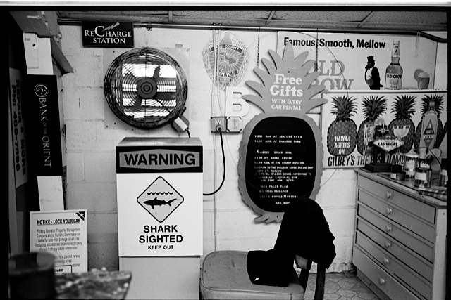 Paying Tribute: Honolulu Sign Co. » FLUX