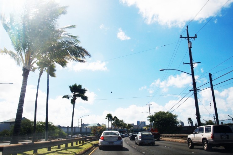 Cruising Along: With Passengers » FLUX