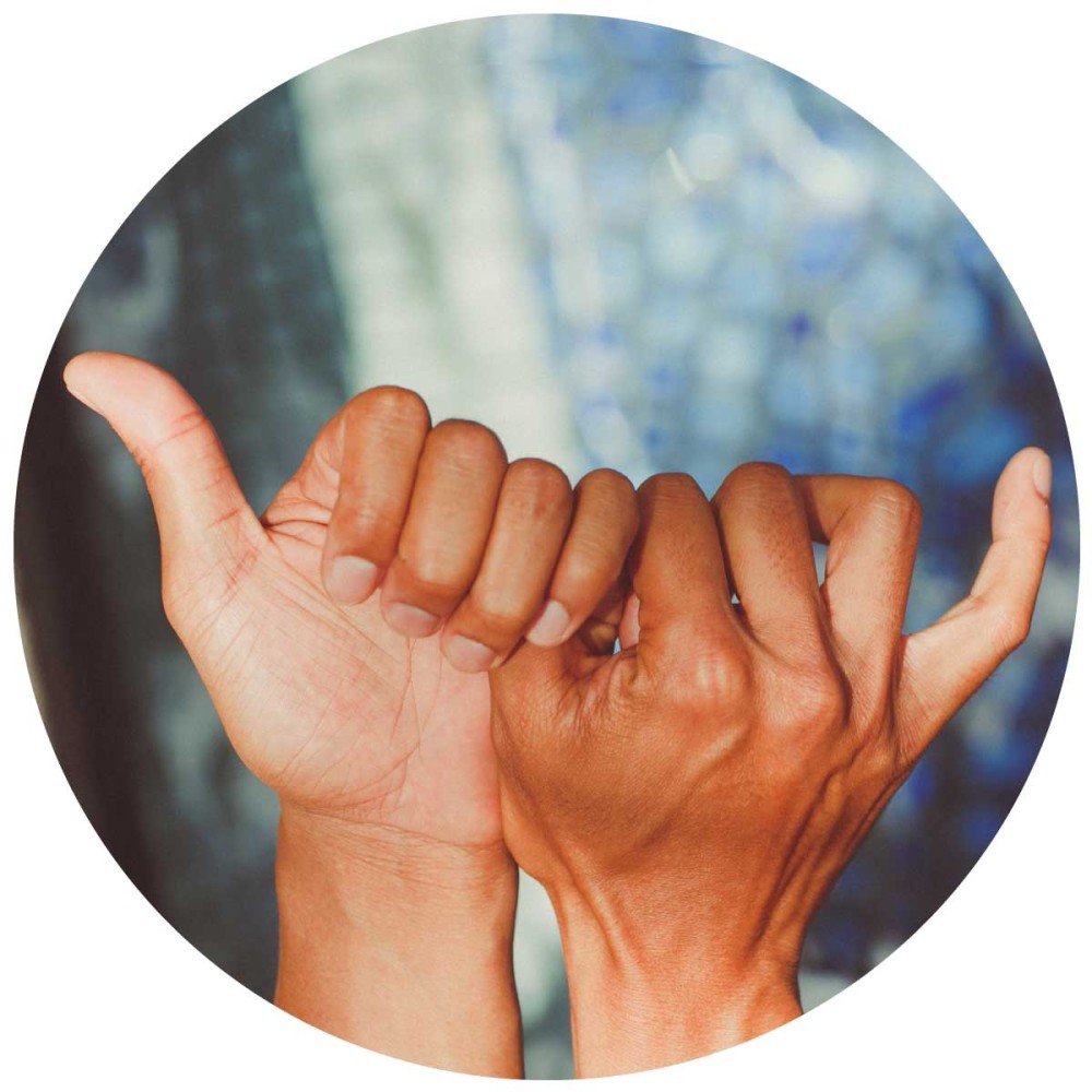 The Shaka Field Guide » FLUX