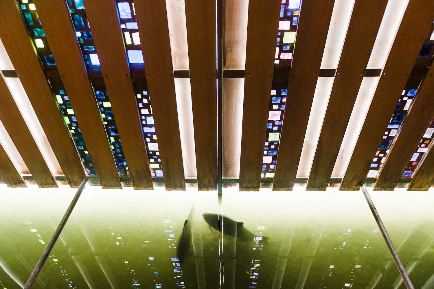 Living Water » FLUX