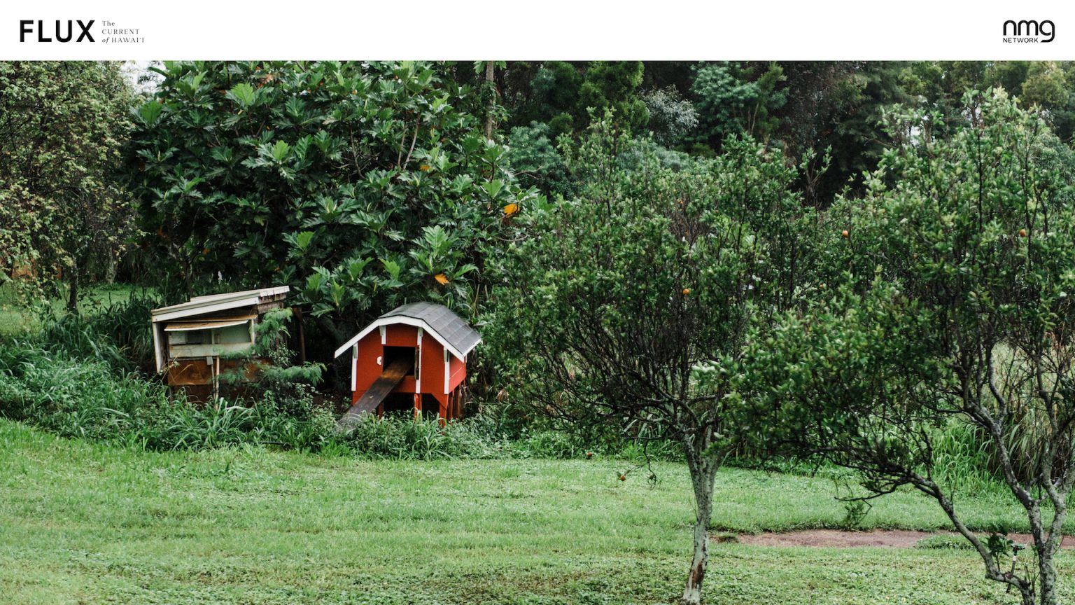 Hawaii Zoom Backgrounds: Virtual Island Life FLUX