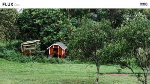 Hawaii Zoom Backgrounds: Virtual Island Life FLUX