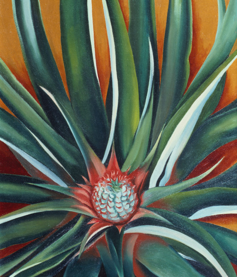The Allure of Georgia O’Keeffe’s Hawai‘i Paintings » FLUX