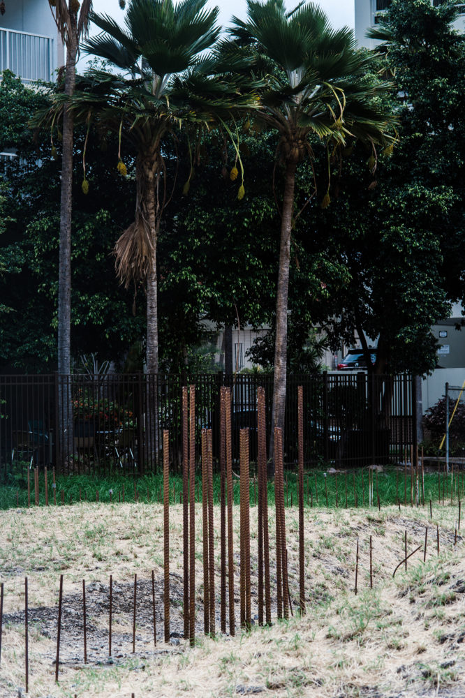 On the Virtue of Weeds » FLUX