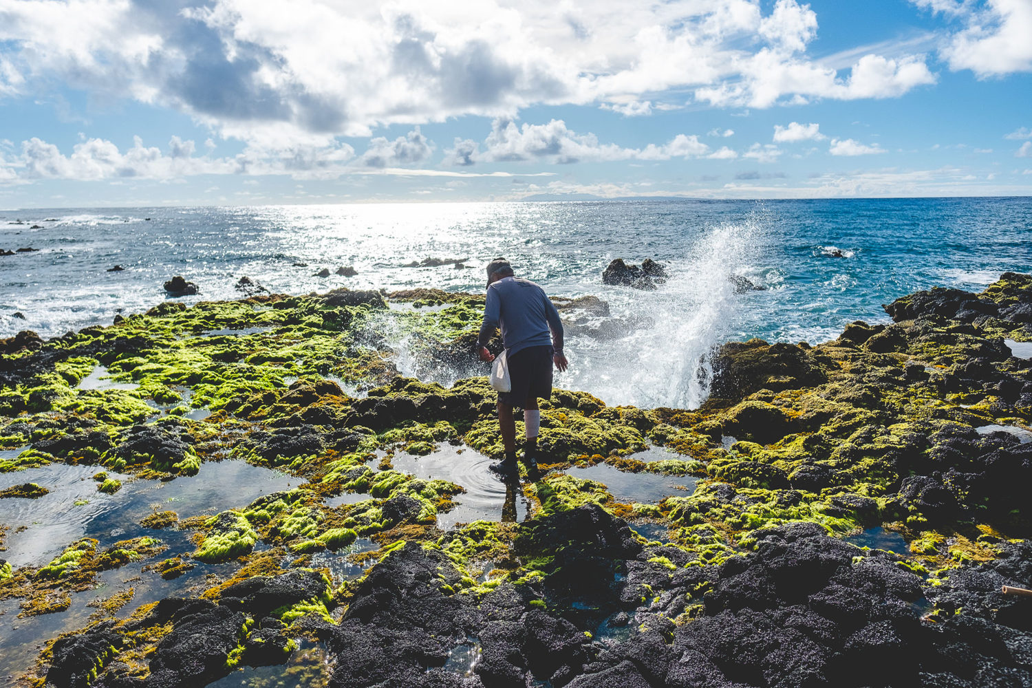 The Lure of Eating More Limu » FLUX