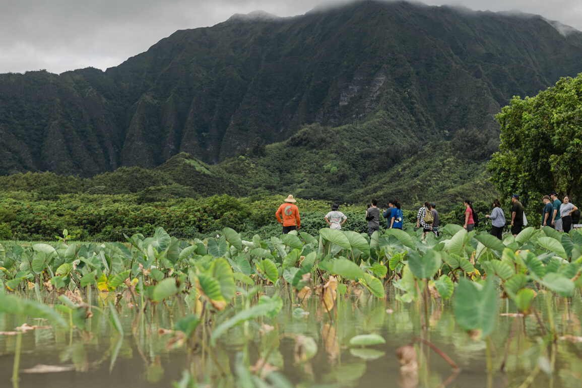 How to Trace Your Native Hawaiian Genealogy » FLUX Hawai‘i