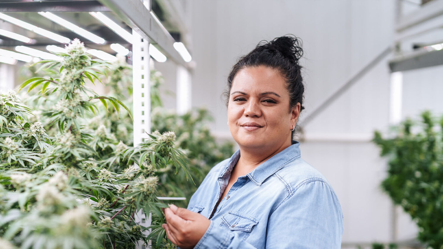 How Noa Botanicals Is Changing the Conversation Around Cannabis » FLUX