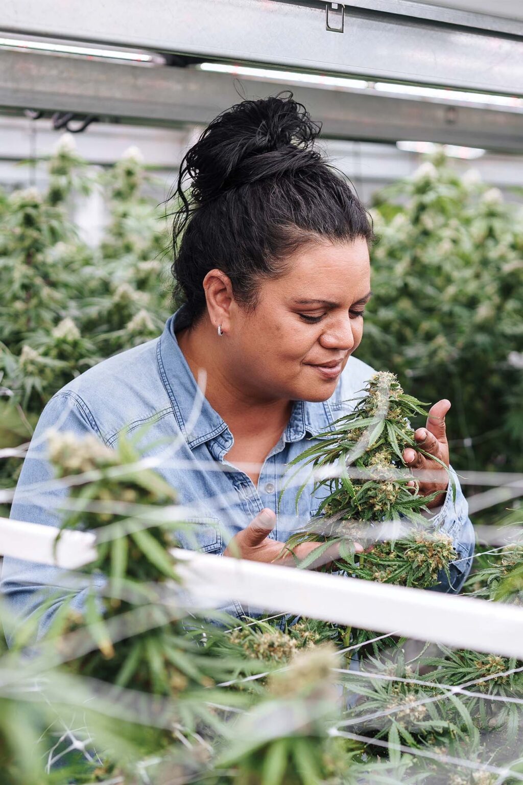 How Noa Botanicals Is Changing the Conversation Around Cannabis » FLUX